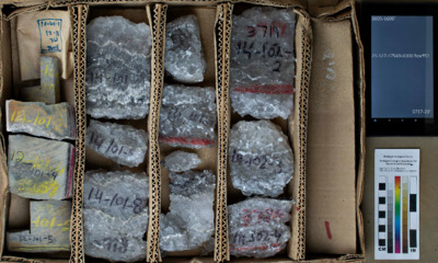 "21127175490000 LAUBER, JACK 12_B51dry" by MGRRE